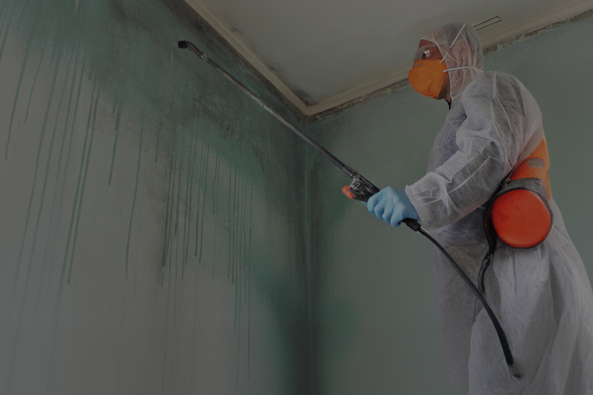 Professional Mold Removal in Dubai for Your Safety | Yalla Fix It